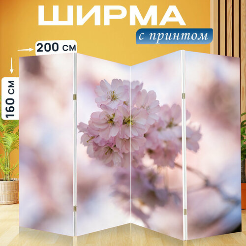 Ширма перегородка с принтом "Вишни в цвету, цветы, весна" на холсте - 200x160 см. для зонирования, раскладная