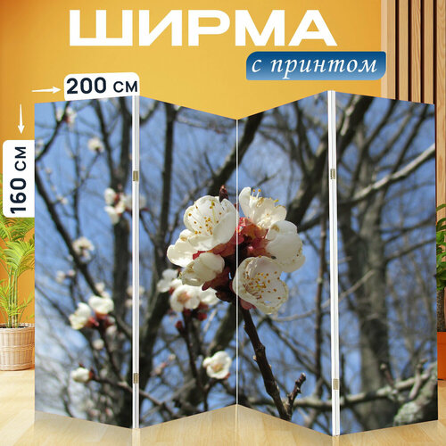 Ширма перегородка с принтом "Расцветает, цветущее дерево, весна" на холсте - 200x160 см. для зонирования, раскладная