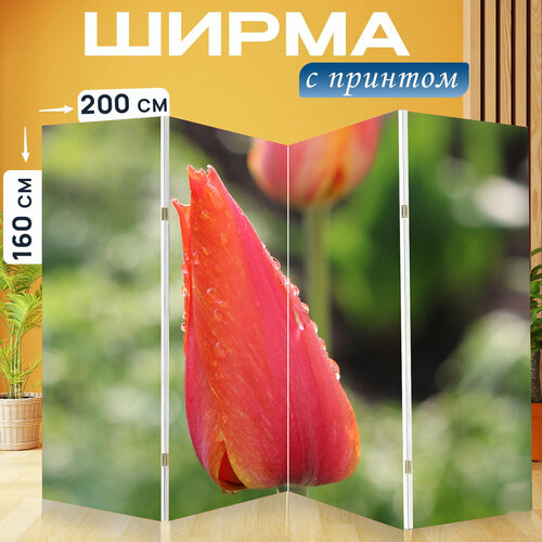 Ширма перегородка с принтом "Тюльпаны, пасхальный, природа" на холсте - 200x160 см. для зонирования, раскладная
