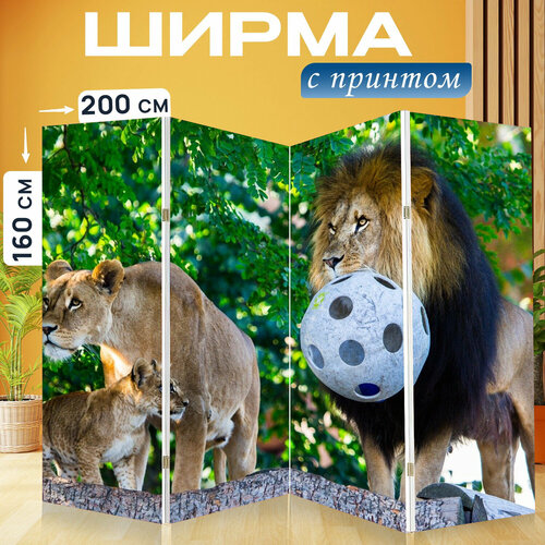 Ширма перегородка с принтом "Жизнь животных, млекопитающее, лев" на холсте - 200x160 см. для зонирования, раскладная