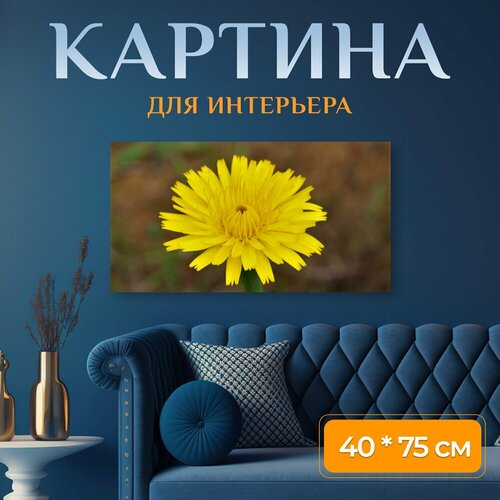 Картина на холсте "Цветок, желтый, цветы" на подрамнике 75х40 см. для интерьера