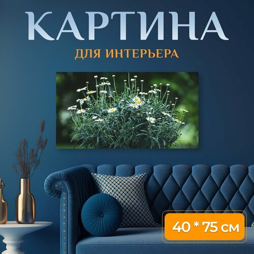 Картина на холсте "Цветы, ромашки, сад" на подрамнике 75х40 см. для интерьера