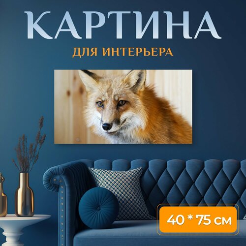 Картина на холсте "Лиса, рыжая лиса, домашняя лиса" на подрамнике 75х40 см. для интерьера