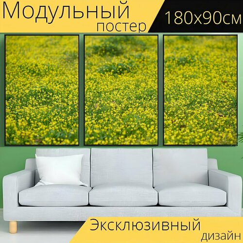 Модульный постер "Трава, весна, дейзи" 180 x 90 см. для интерьера