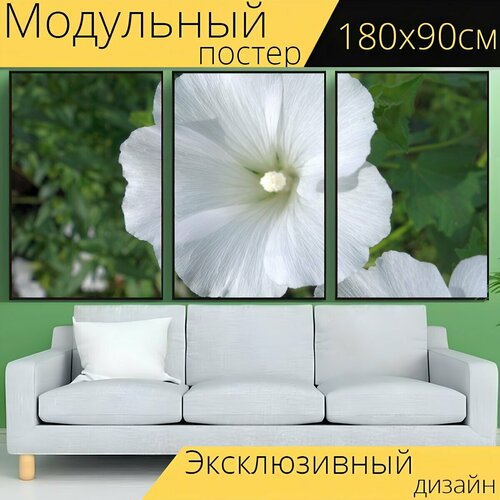 Модульный постер "Цветок, белый цветок, блум" 180 x 90 см. для интерьера