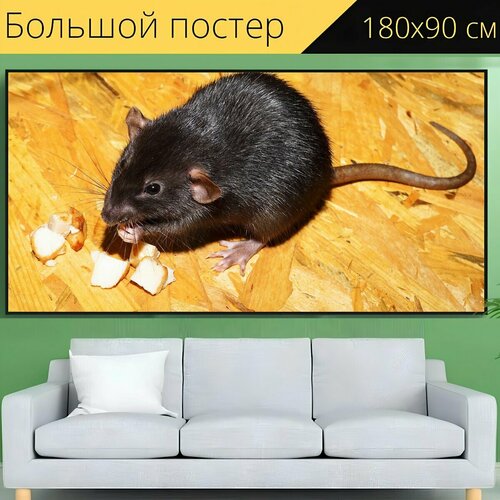 Большой постер "Крыса, цветная крыса, чернить" 180 x 90 см. для интерьера