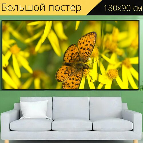 Большой постер "Бабочка, авриния бабочка, цветы" 180 x 90 см. для интерьера