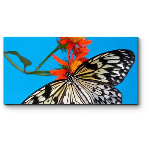Модульная картина Бабочка на алом бутоне 80x40