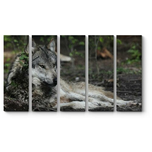 Модульная картина Волк отдыхает в лесу 120x72