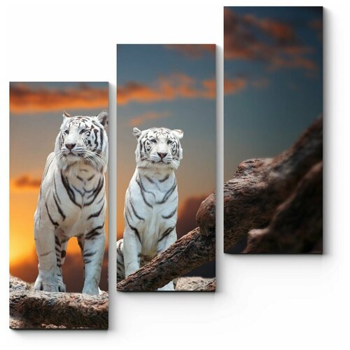 Модульная картина Два белых тигра на закате 90x96