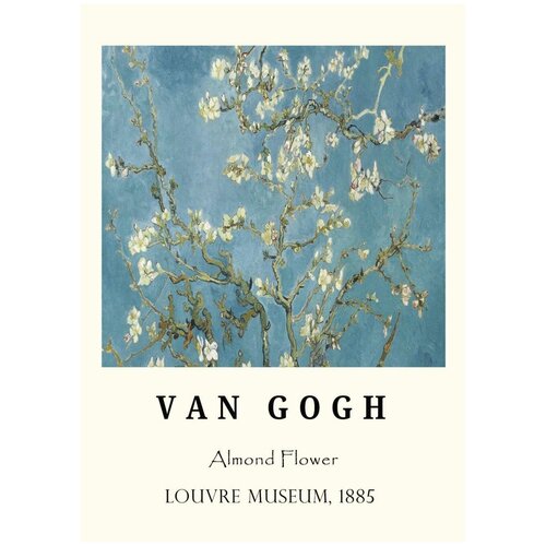 Постер / Плакат / Картина Ван Гог - Цветок миндаля 50х70 см в раме