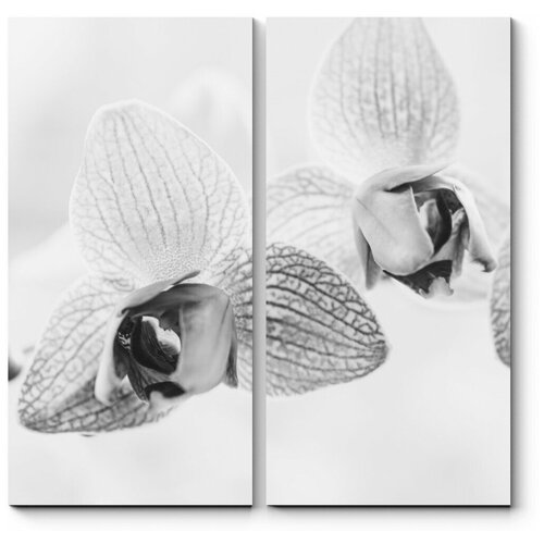 Модульная картина Черно-белые орхидеи 130x130