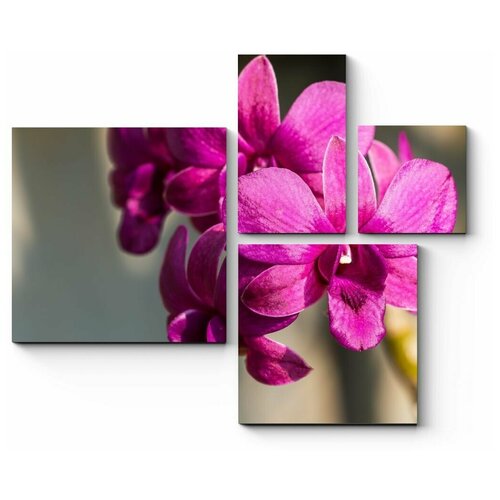 Модульная картина Королева цветов - прекрасная орхидея 72x60