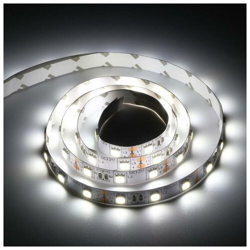 Светодиодная лента Ecola PRO 1 м, IP20, SMD5050, 60 LED/м, 14.4 Вт/м, 12 В, 4200К