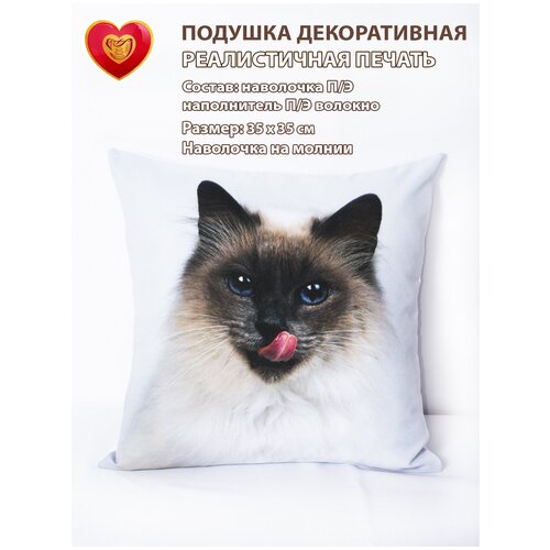 Подушка декоративная на диван 35х35 в подарок с фотопечатью кот сиамский