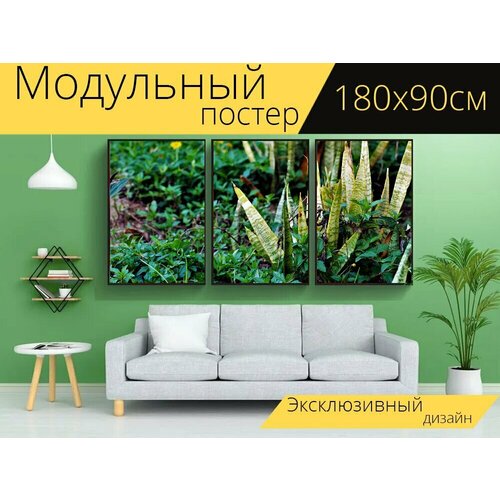 Модульный постер "Алоэ, зеленый, природа" 180 x 90 см. для интерьера