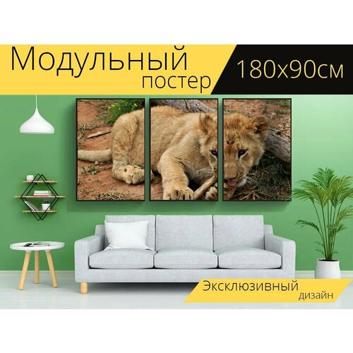 Модульный постер "Лев, африке, сафари" 180 x 90 см. для интерьера