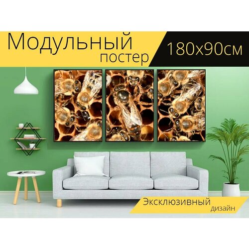Модульный постер "Пчелы, пчеловодство, насекомое" 180 x 90 см. для интерьера