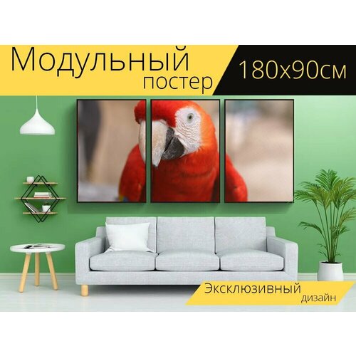 Модульный постер "Попугай, животные, лоро" 180 x 90 см. для интерьера