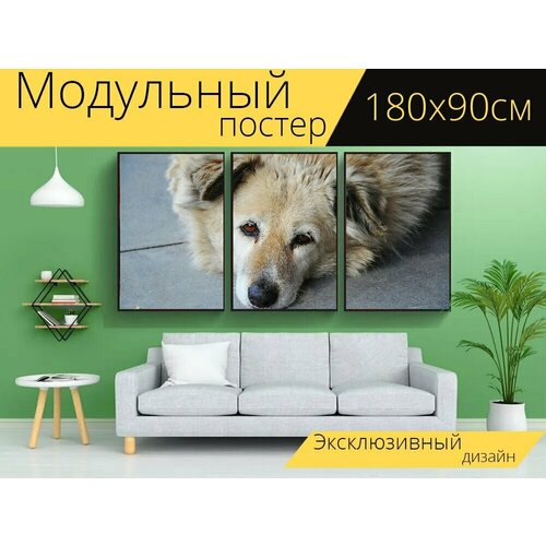 Модульный постер "Собака, золотой, животное" 180 x 90 см. для интерьера