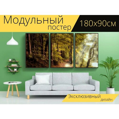 Модульный постер "Лес, лесная тропа, лиственные деревья" 180 x 90 см. для интерьера