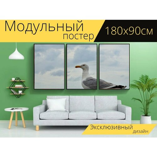 Модульный постер "Чайка, чайки, закрывать" 180 x 90 см. для интерьера