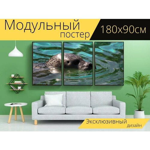 Модульный постер "Тюлень, вода, море" 180 x 90 см. для интерьера
