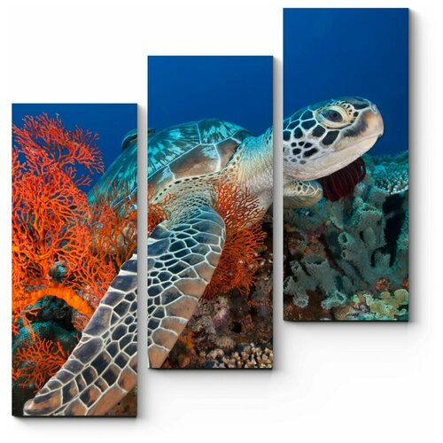Модульная картина Морская черепаха в кораллах60x64