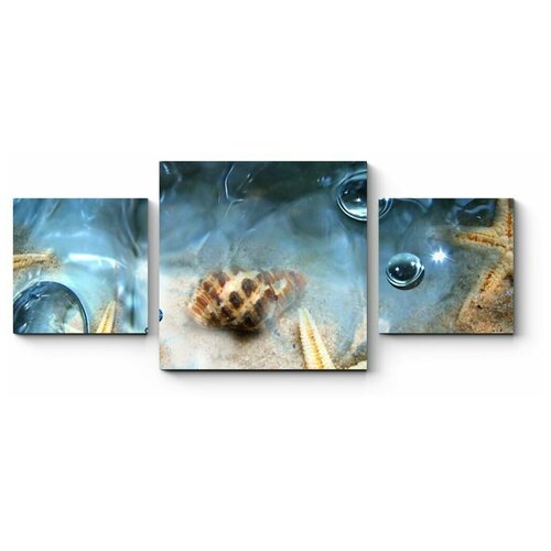 Модульная картина Морские обитатели170x73