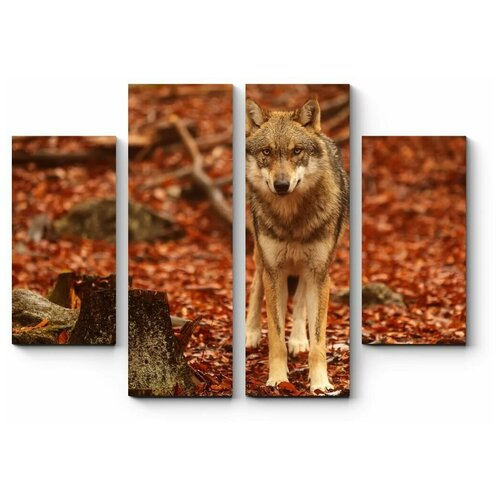 Модульная картина Волк в осеннем лесу 140x105