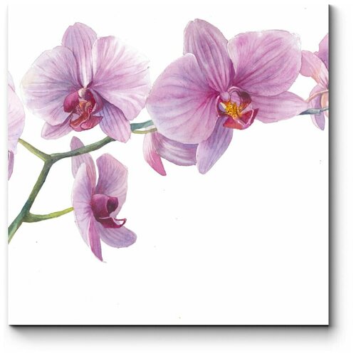 Модульная картина Ветка чудесной орхидеи 50x50