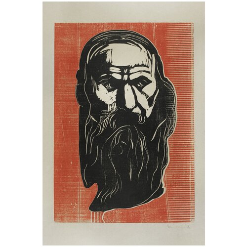 Постер / Плакат / Картина Голова старого человека с бородой 40х50 см в подарочном тубусе