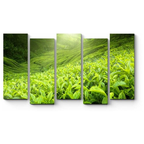 Модульная картина Бескрайняя зелень полей 110x64