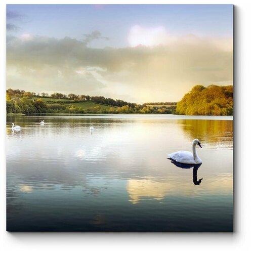 Модульная картина Лебеди в шотландском озере 20x20