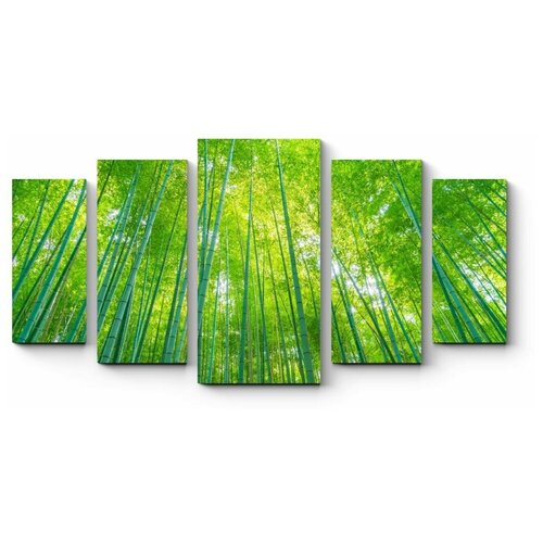 Модульная картина Бамбуковый лес 160x88