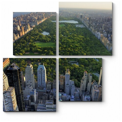 Модульная картина Центральный парк с высоты птичьего полета 60x60