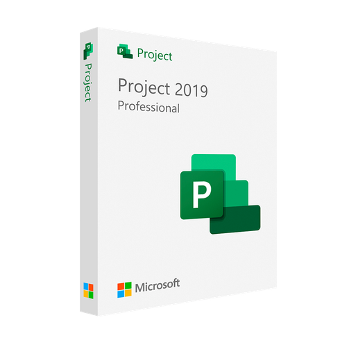 Microsoft Project 2019 Professional