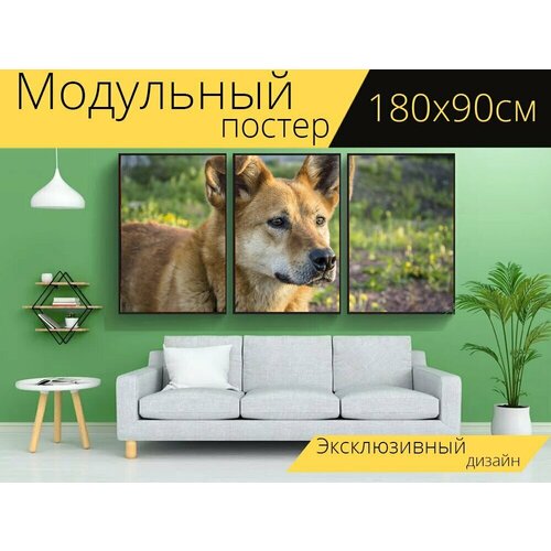 Модульный постер "Собака, портрет, рыжая" 180 x 90 см. для интерьера