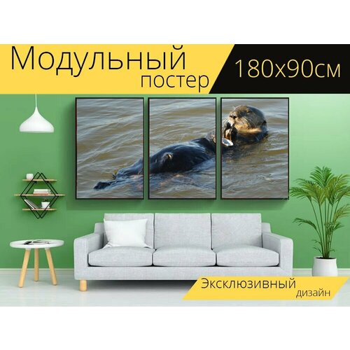 Модульный постер "Морская выдра, вода, океан" 180 x 90 см. для интерьера