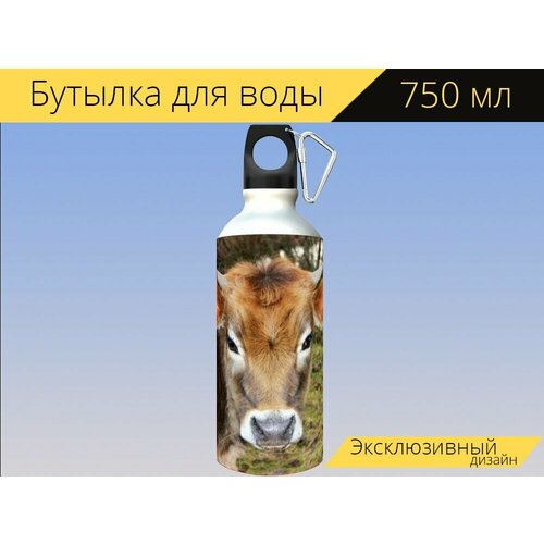 Бутылка фляга для воды "Корова, бык, животное" 750 мл. с карабином и принтом