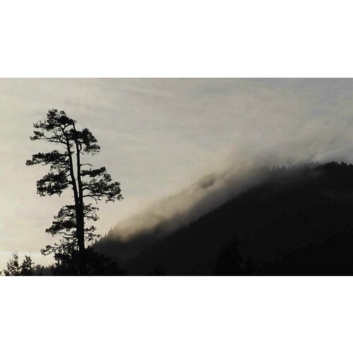 Картина на холсте 60x110 LinxOne "Дерево, силуэт, туман, природа, черно-белый" интерьерная для дома / на стену / на кухню / с подрамником