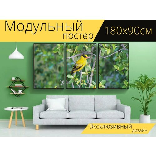 Модульный постер "Золотая иволга, птица, дикая природа" 180 x 90 см. для интерьера