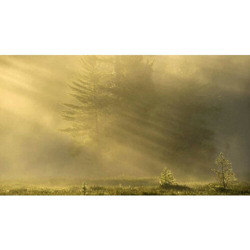 Картина на холсте 110x60 LinxOne "Лес туман утро" интерьерная для дома / на стену / на кухню / с подрамником