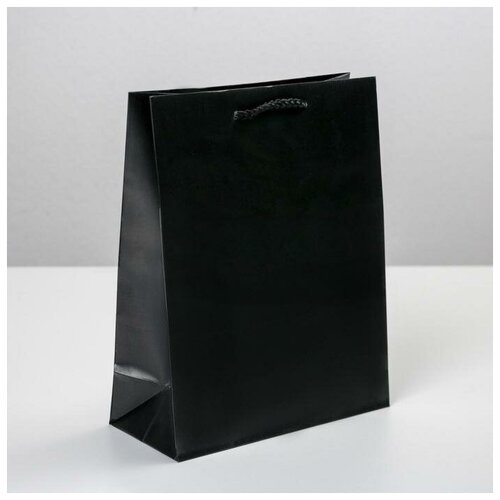 Пакет ламинированный «Чёрный», MS 18 х 23 х 8 см