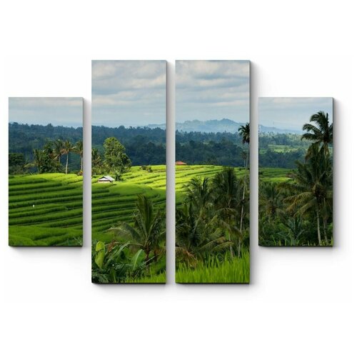 Модульная картина Бали, рисовые поля 130x98