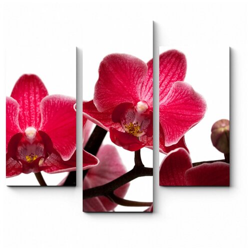Модульная картина Магия орхидей 70x63