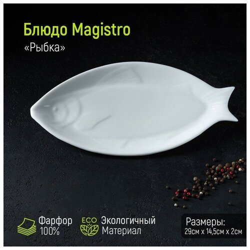 Magistro Блюдо фарфоровое Magistro «Рыбка», 29×14,5×2 см, цвет белый