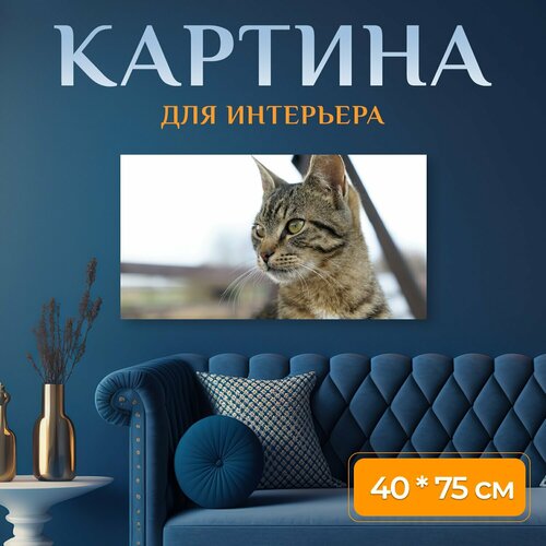 Картина на холсте "Кошка, полосатый, голова" на подрамнике 75х40 см. для интерьера
