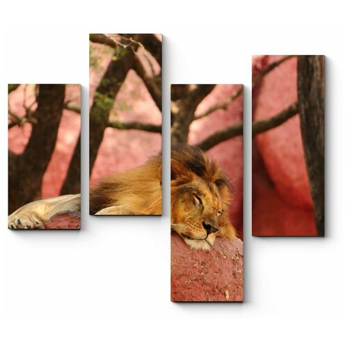 Модульная картина Африканский лев отдыхает94x88