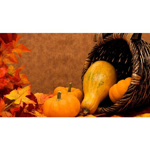 Картина на холсте 60x110 Альянс Лес "Тыквы корзина осень листья овощи" на подрамнике / интерьер/ декор